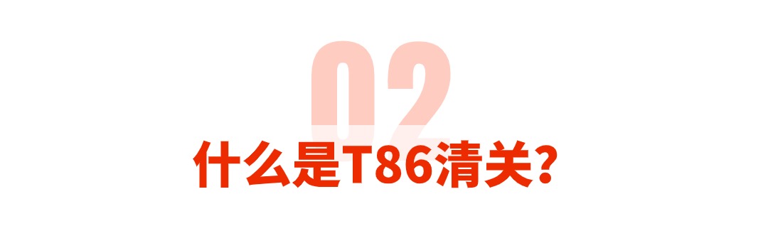 突发！现在美国T86清关还能走吗？TEMU、SHEIN包裹均受影响！